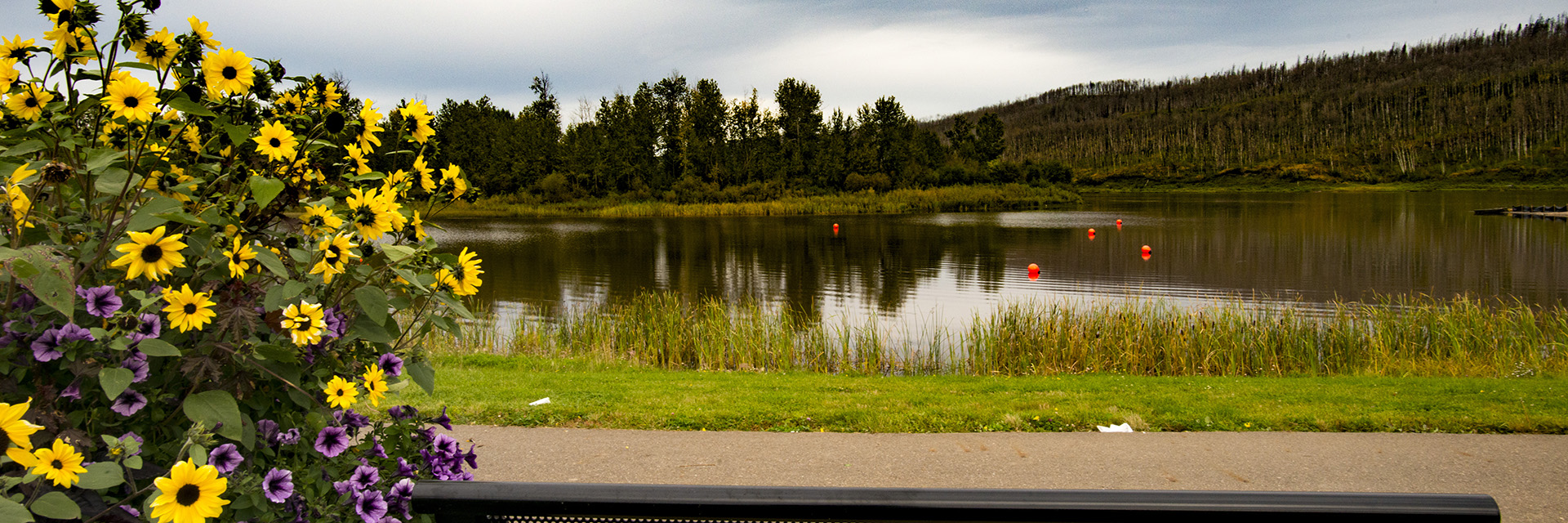 Waterfront Park | Participate Wood Buffalo
